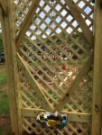 Building a Grape Arbor in Your Backyard. | The Kuntry Klucker
