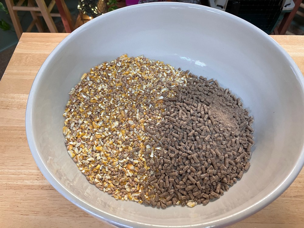 Homemade Flock Block | The Kuntry Klucker